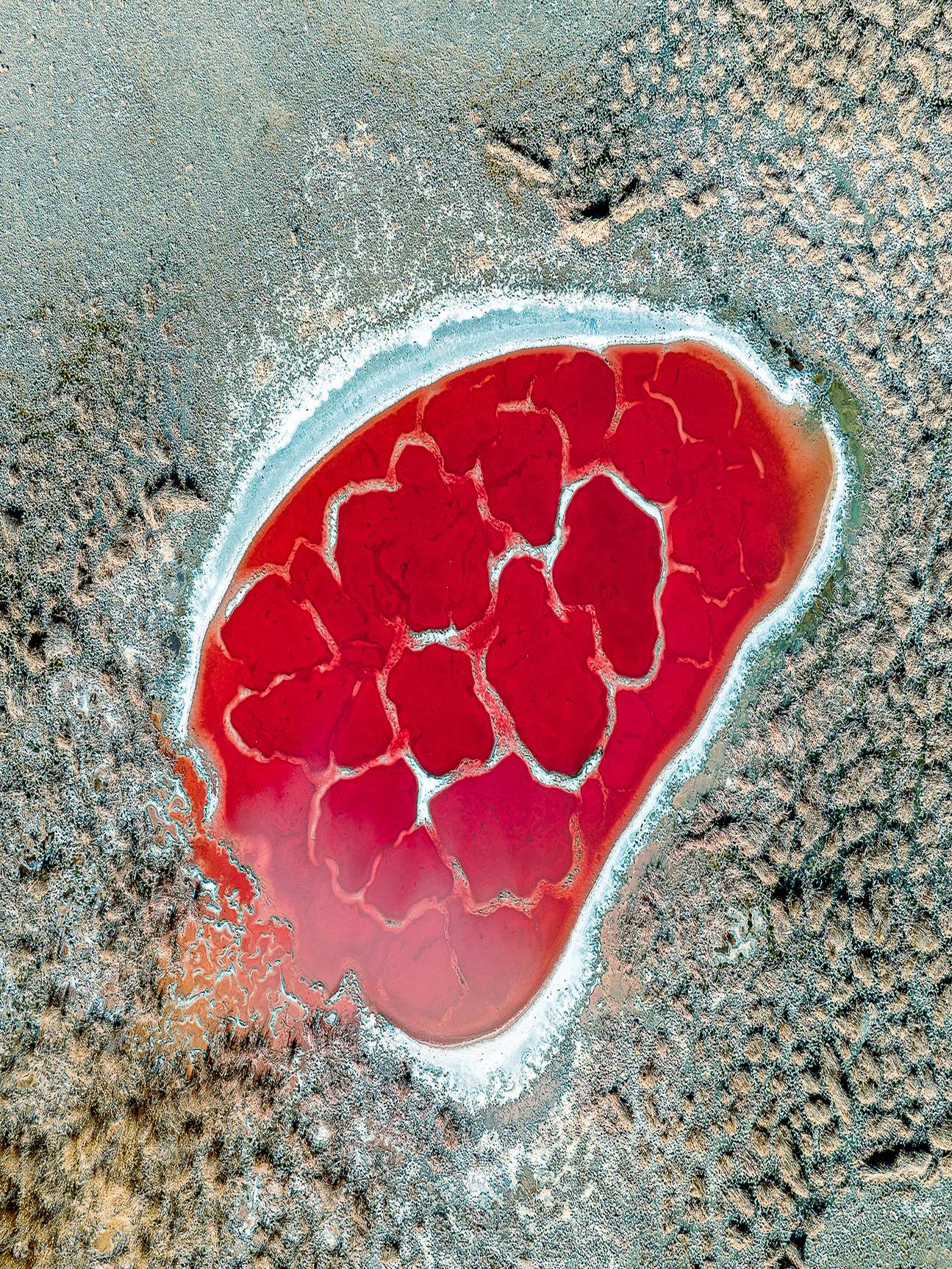 5-Day Luxury Ningxia Zhongwei Tour (Desert Star Hotel + Yellow River ...